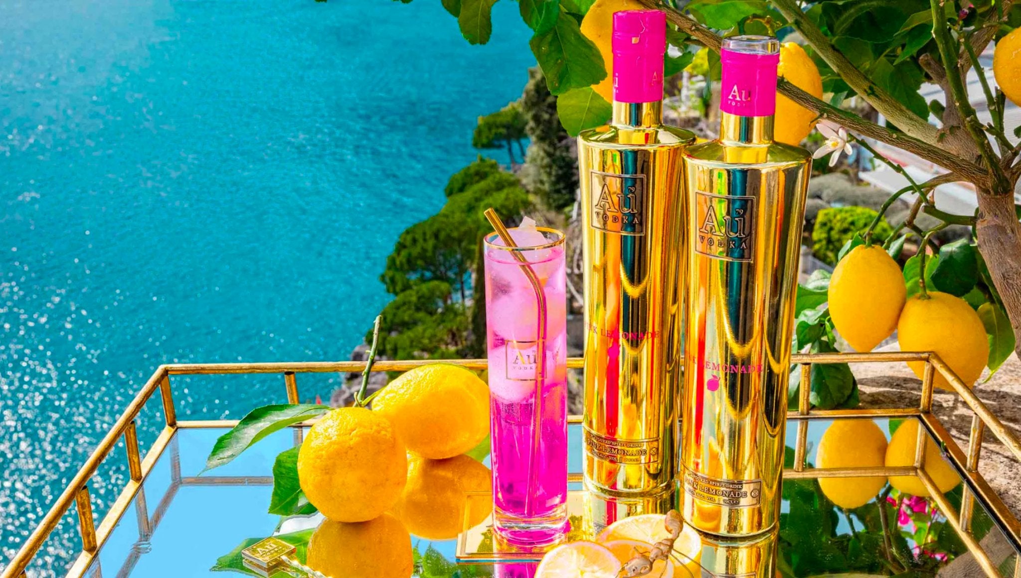 Pink Lemonade Au Vodka Spritz Cocktail Recipe – The Bottle Club