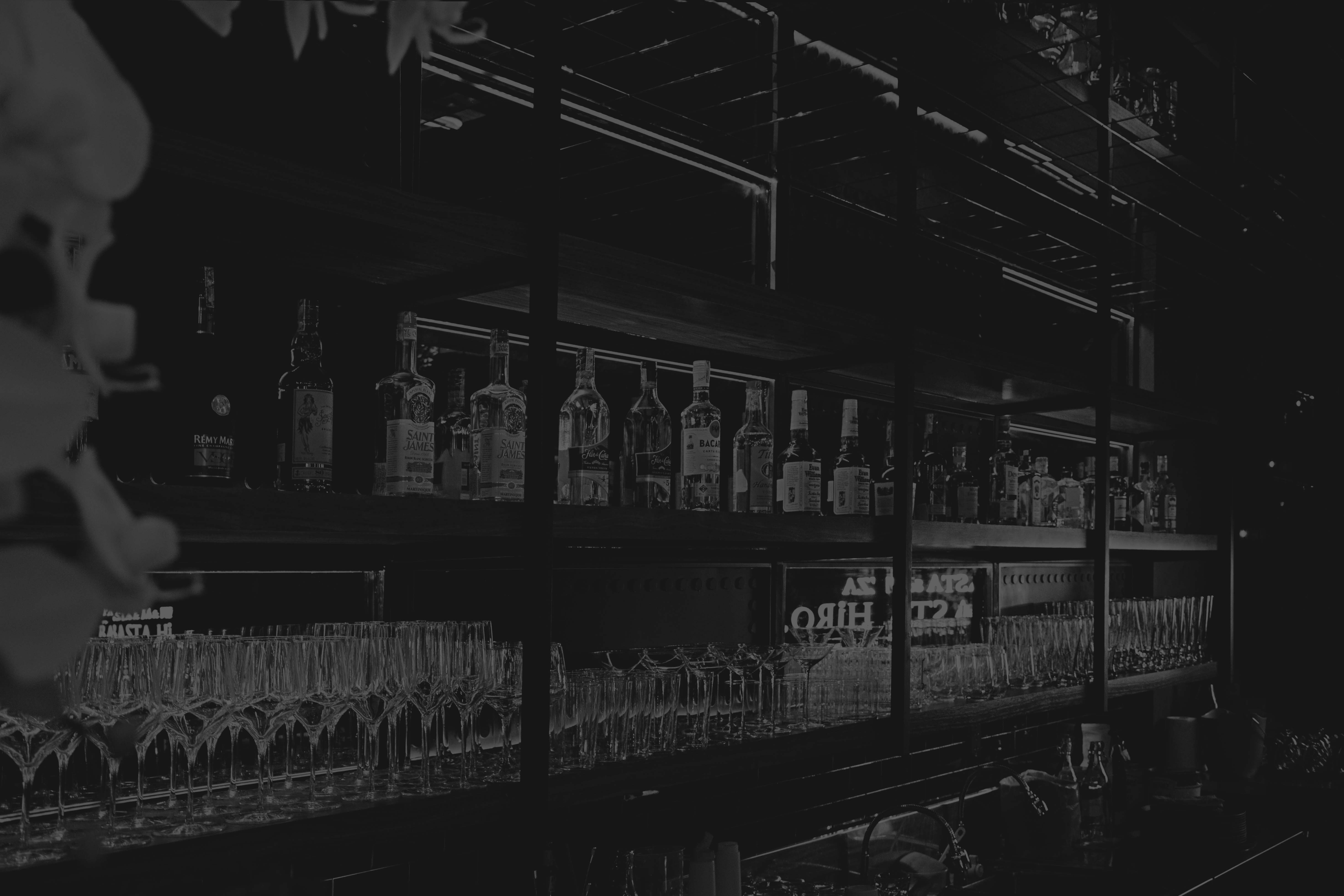 New In – The Bottle Club