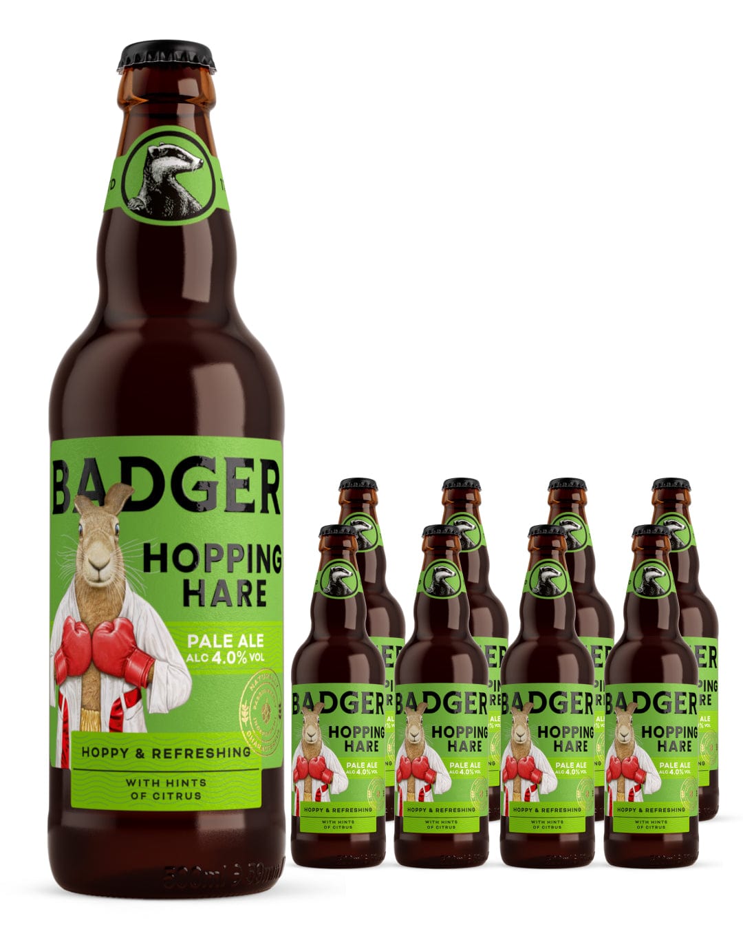 Badger Hopping Hare Pale Ale Multipack, 8 x 500 ml – The Bottle Club
